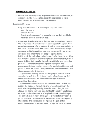 Outline the hierarchy of key responsibilities in law enforcement - Then ...