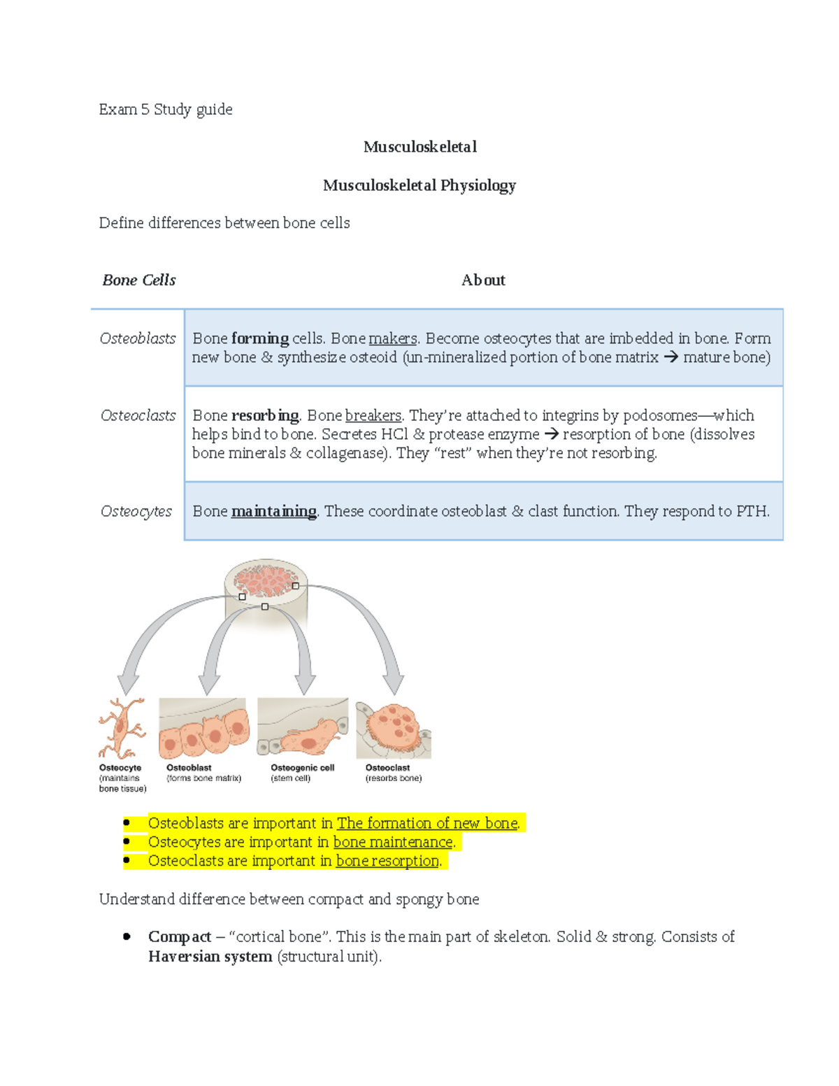 Exam 5 SG - exam 5 study guide - Exam 5 Study guide Musculoskeletal ...