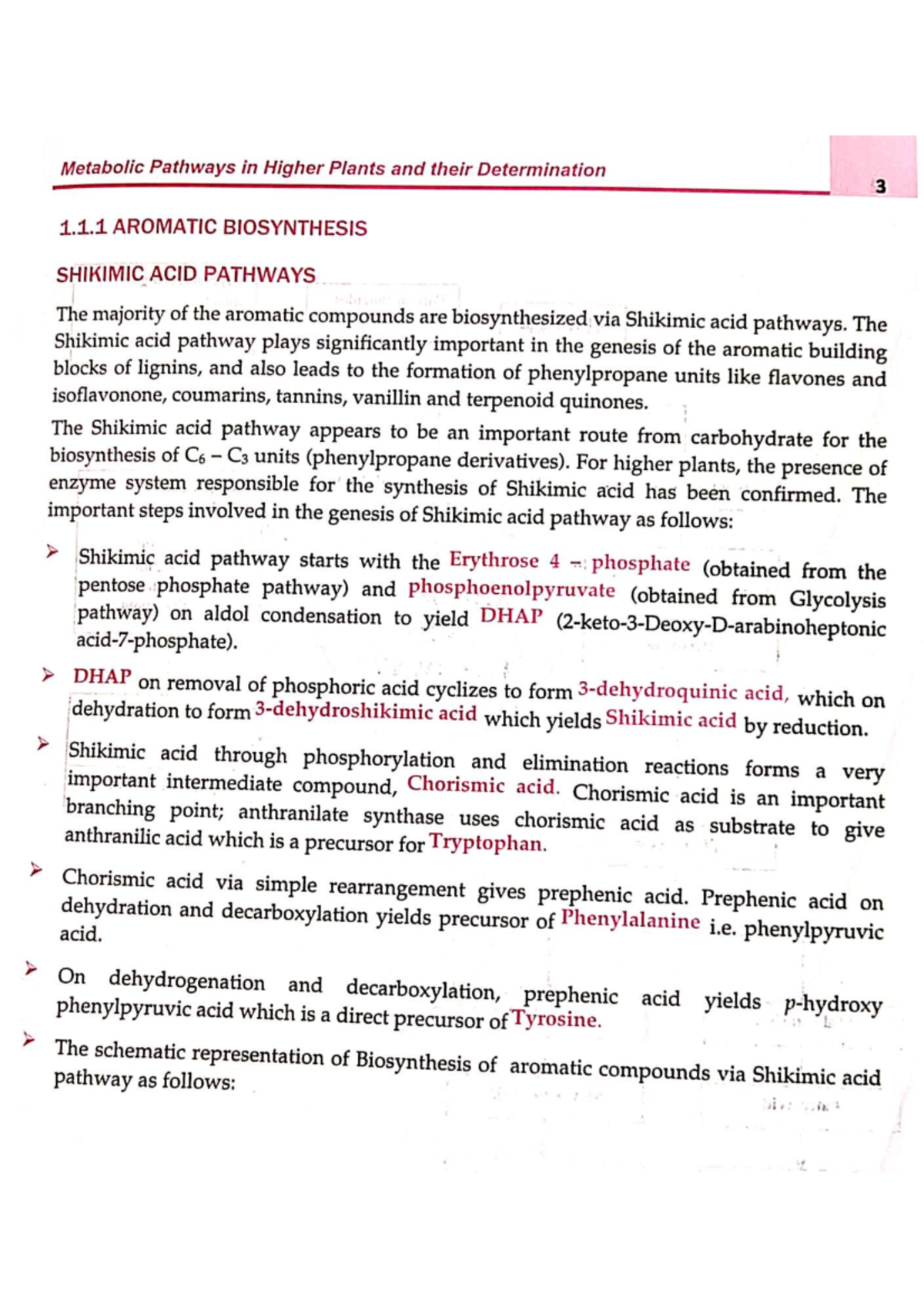 Shikimic pathway - Pharmacy - Studocu
