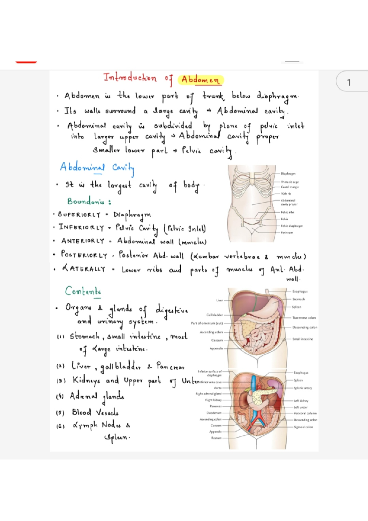 Image to pdf 2 - Lecture note - Special procedures in radiology - Studocu