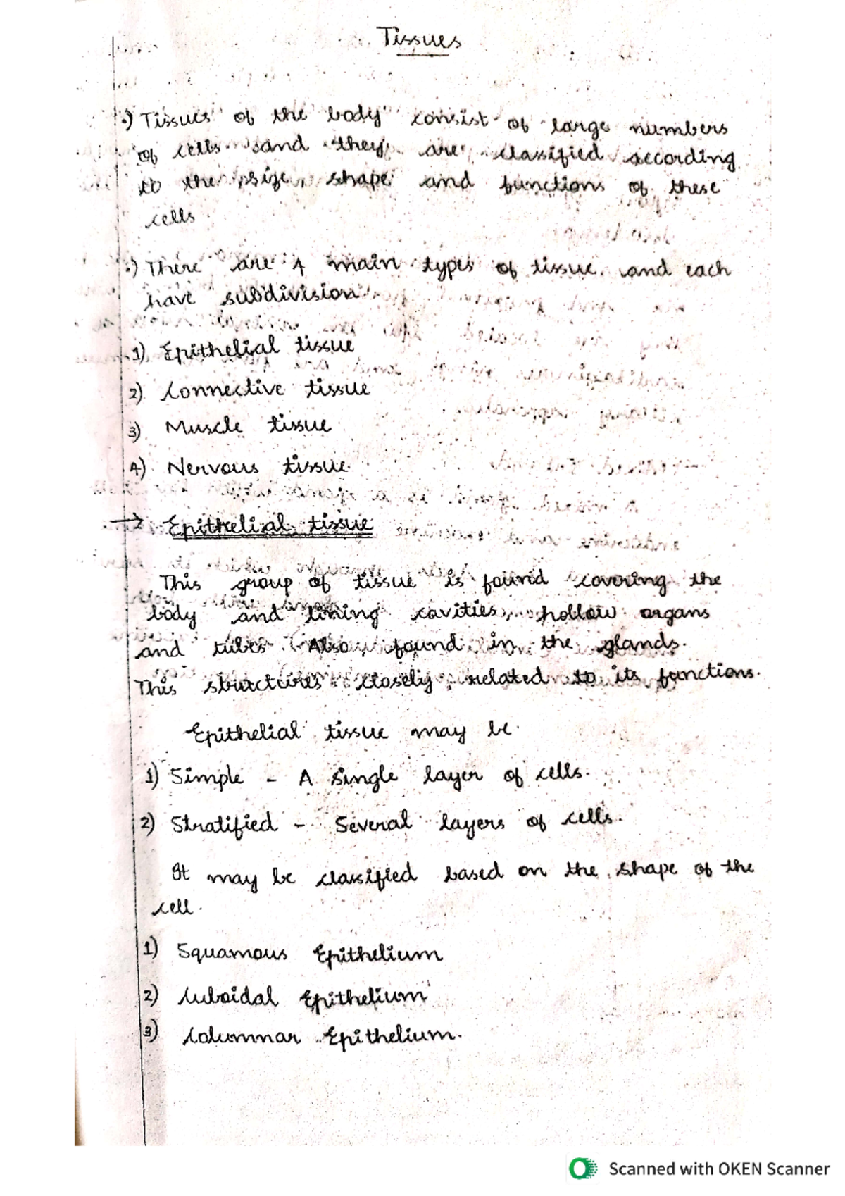 Tissues - Short notes - Human Anatomy - Studocu
