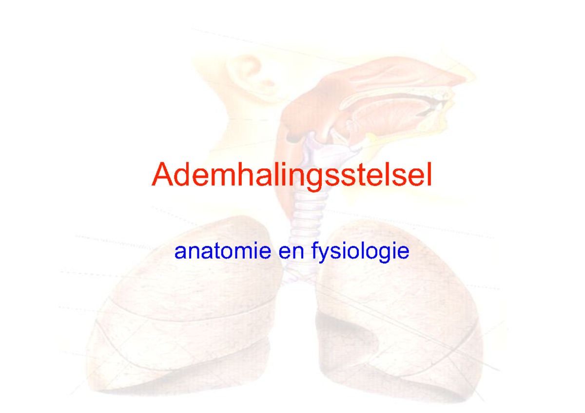 Ademhalingsstelsel - Pdf - Ademhalingsstelsel anatomie.en 1 Inleiding ...