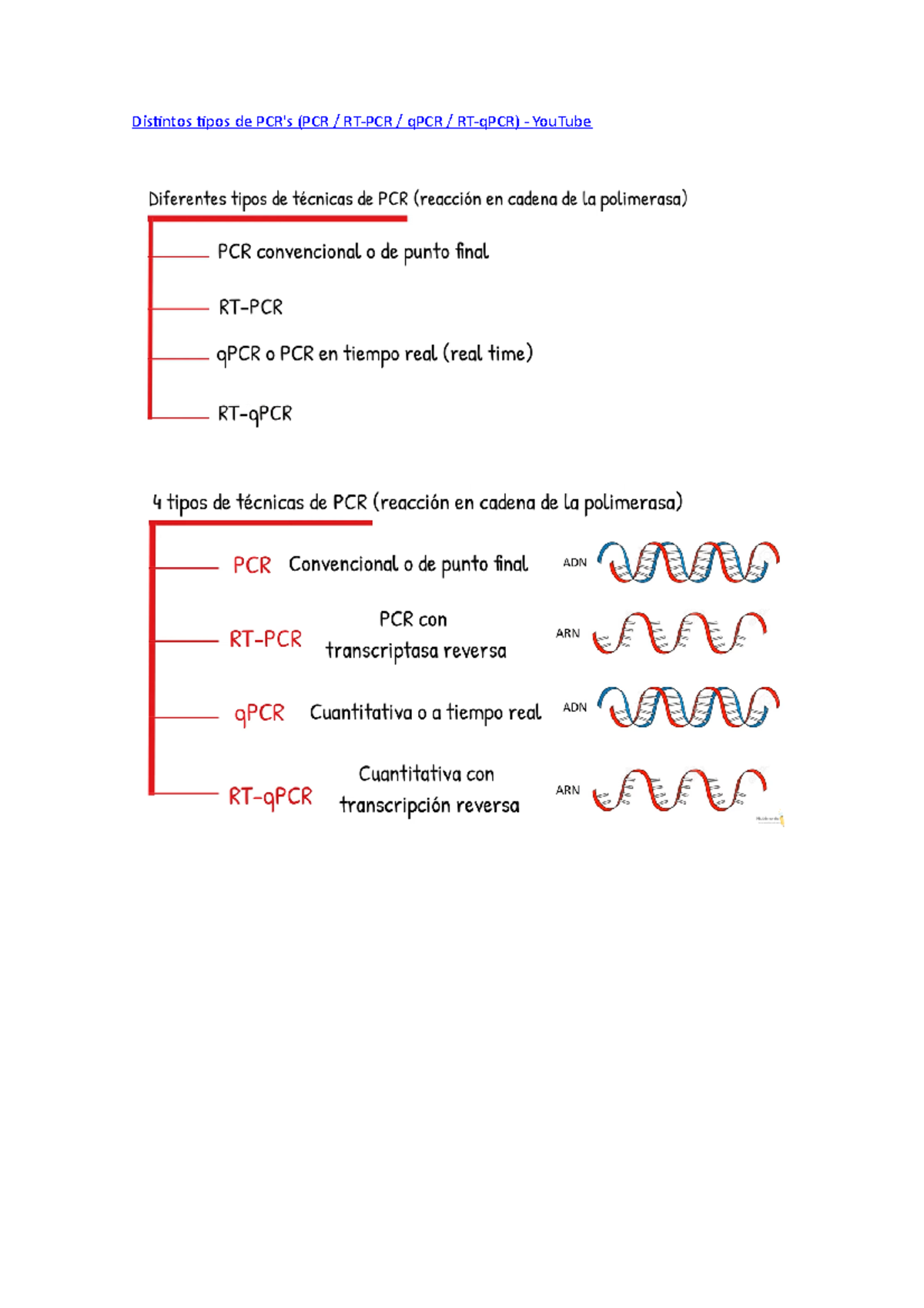 PCR - apuntes sobre PCR - Distintos tipos de PCR's (PCR / RT-PCR / qPCR ...