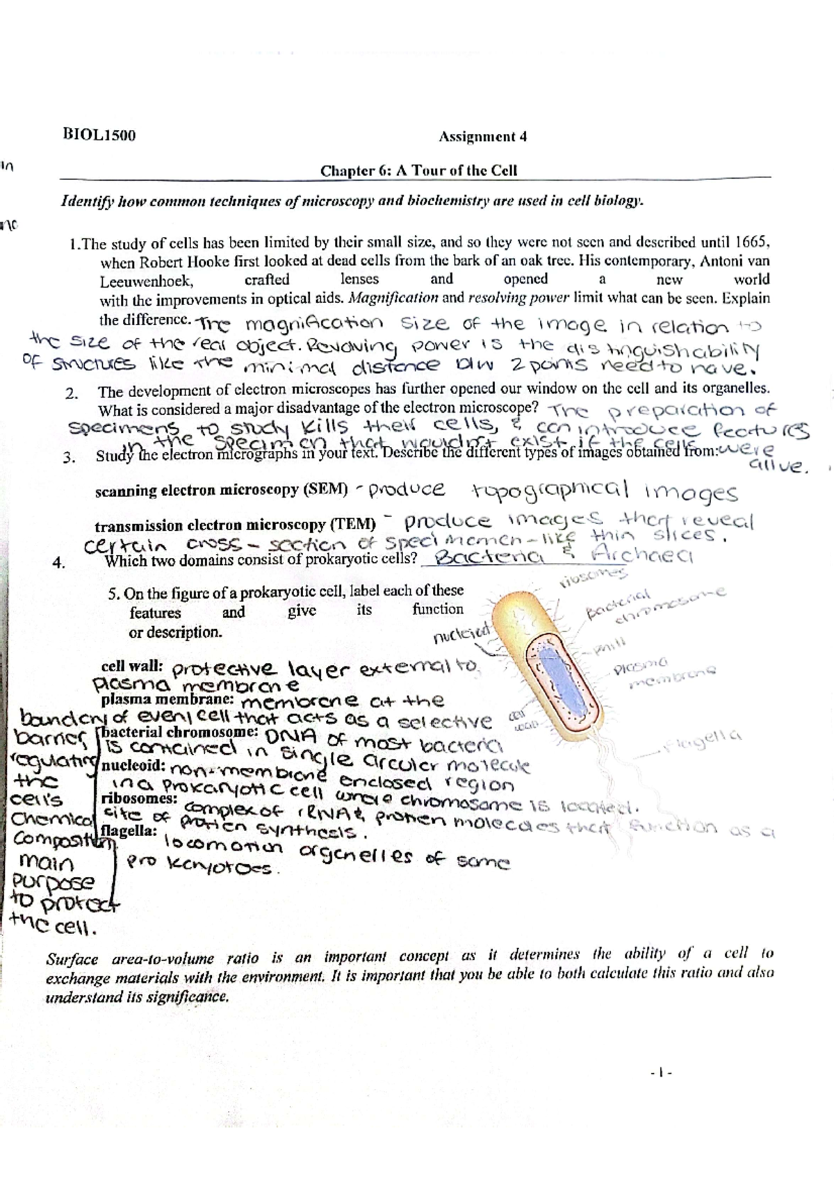 Biology chapter 6 - BIOL 1500 Assignment 4 Chapter 6: A Tour of the ...