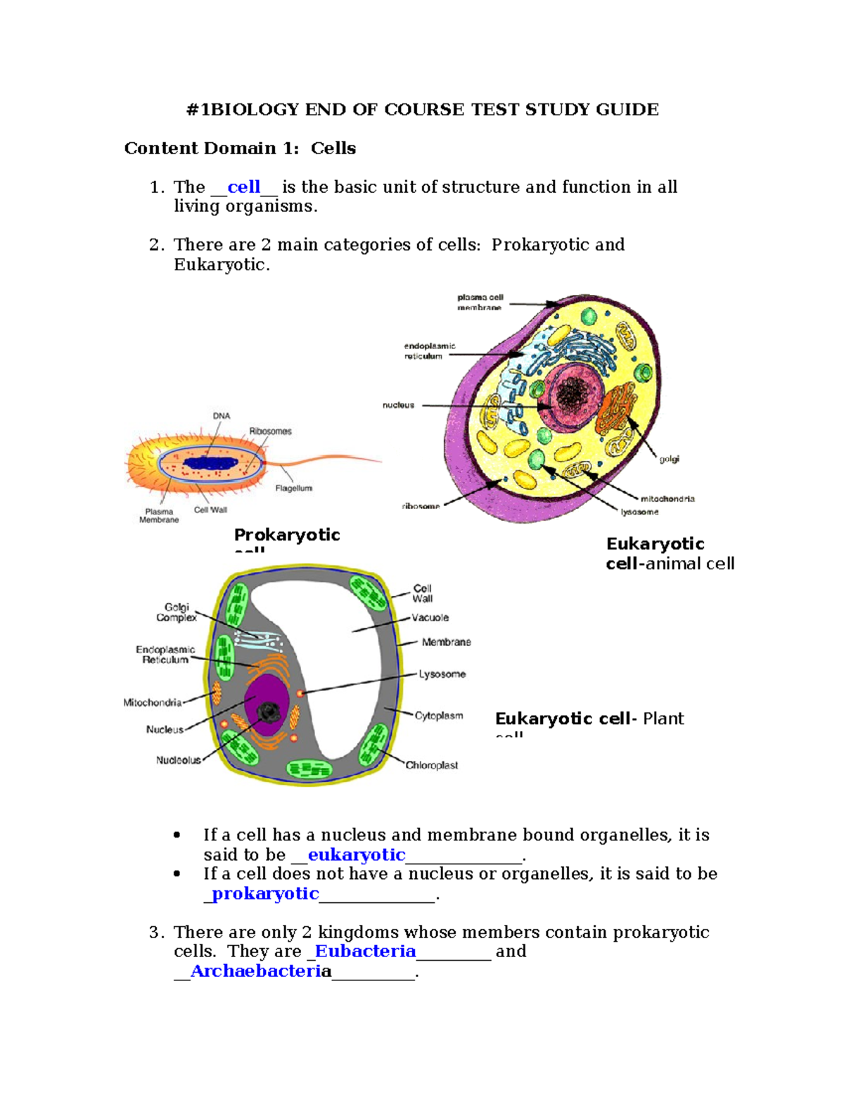 Biology EOCT Answers - 987088 - #1BIOLOGY END OF COURSE TEST STUDY ...