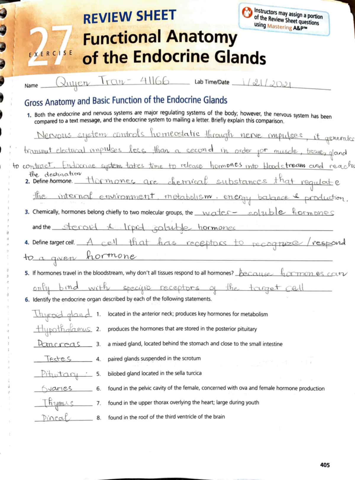 Review Sheet 27 Endocrine Lab RE llEW SHEET F nctiorr1al Anatomy Llt