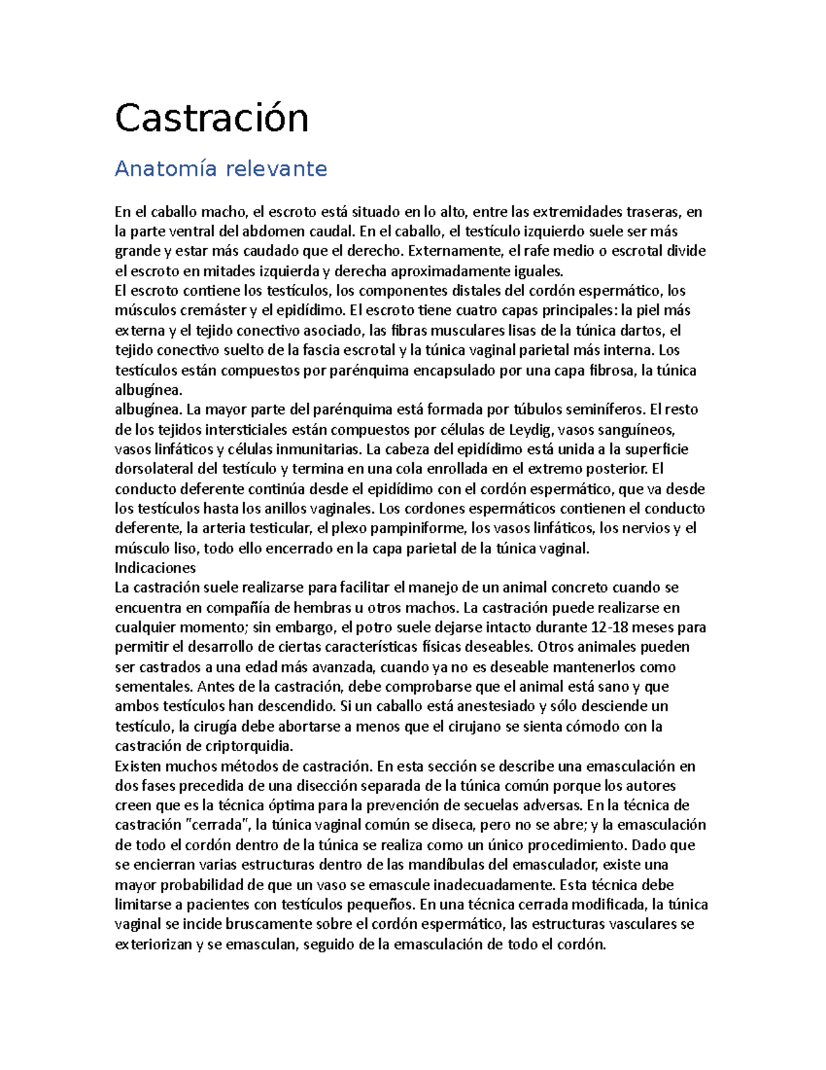 Castración en equinos - Castración Anatomía relevante En el caballo ...