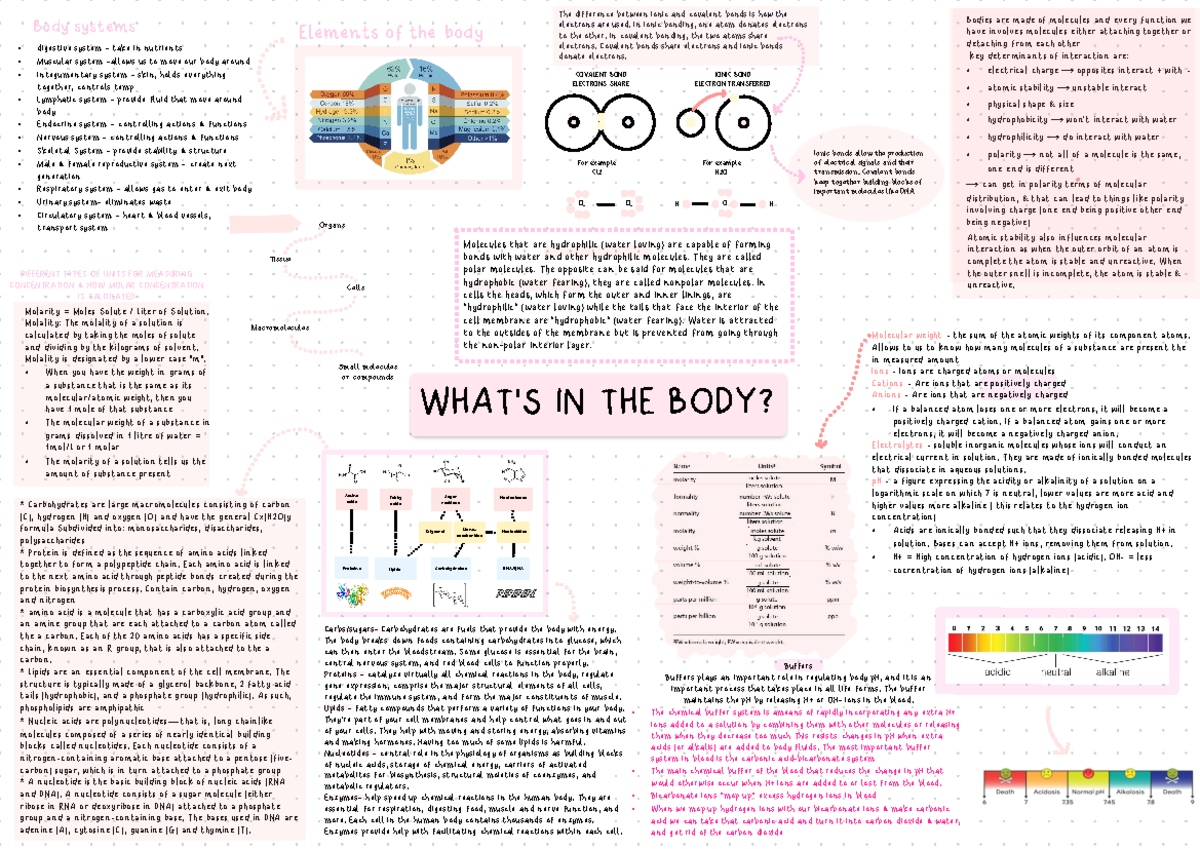 HUBS1406 - Summary Human Bioscience For Nursing And Midwifery - WHAT'S IN THE BODY? Body systems ...
