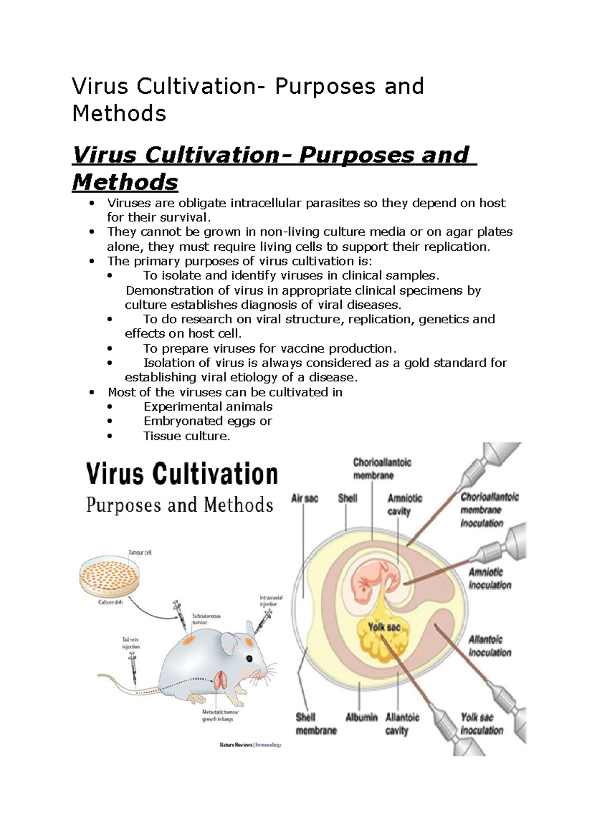 Cultivation of viruses - Virus Cultivation- Purposes and Methods Virus ...