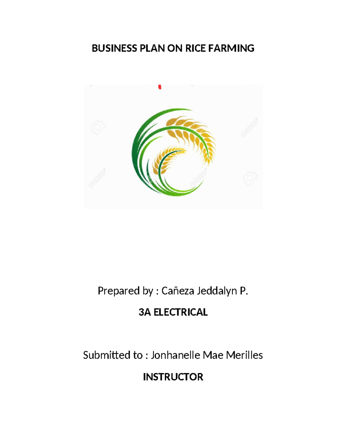 Business plan (Cañeza) - BUSINESS PLAN ON RICE FARMING Prepared by ...
