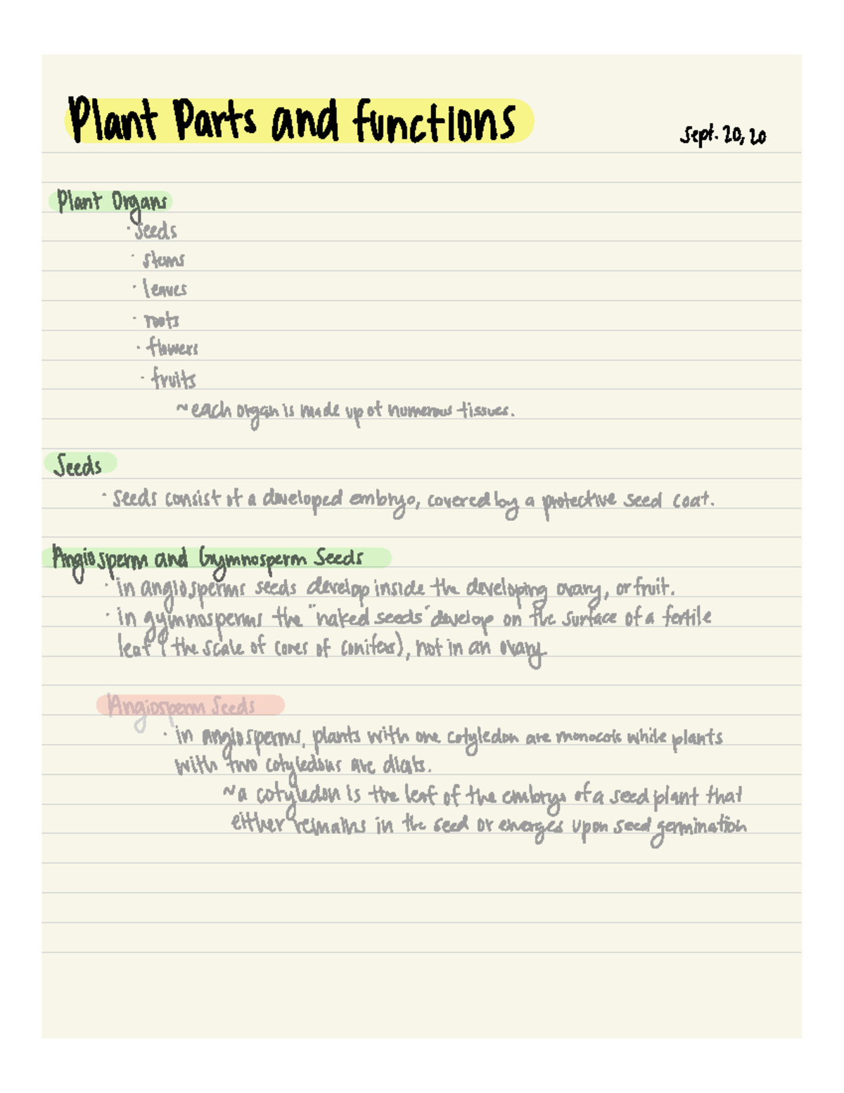 Plant Parts and Functions - Plant Parts and functions sept.w Plant ...
