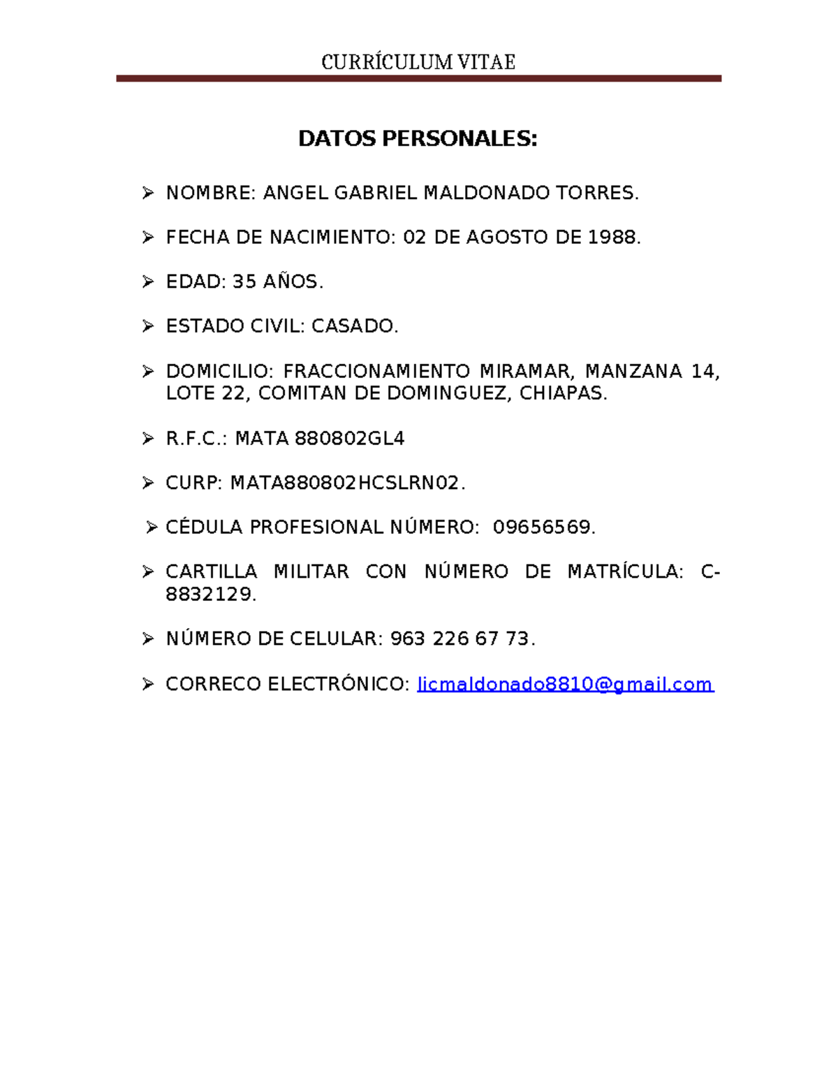 Curriculum Vitae Angel Maldonado (1) (1) (1) (1) - DATOS PERSONALES ...