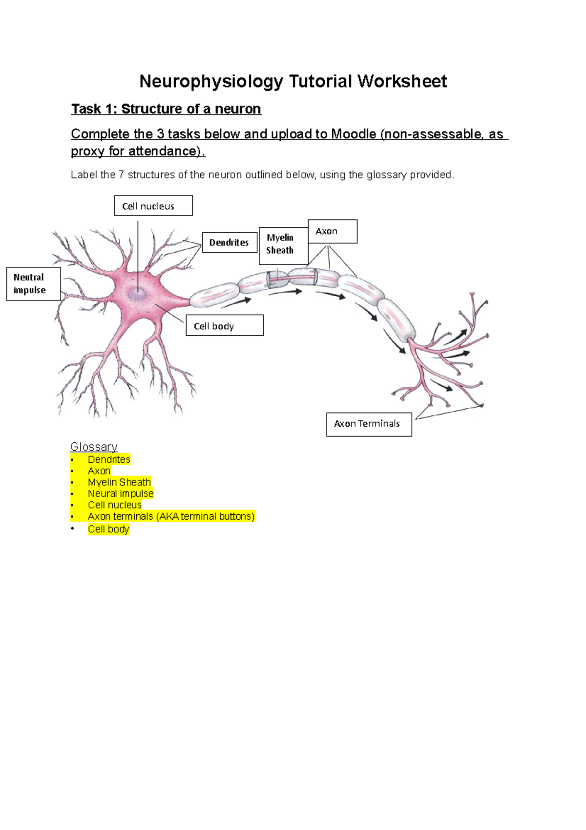 Worksheet Neurophys Tutorial - Neurophysiology Tutorial Worksheet Task ...
