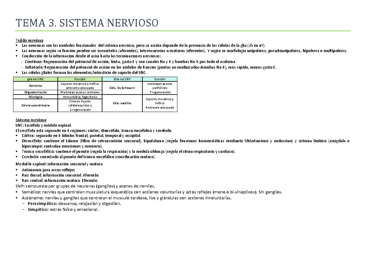 TEMA 3 sistema nervioso - Warning: TT: undefined function: 32 Warning: TT: undefined function ...