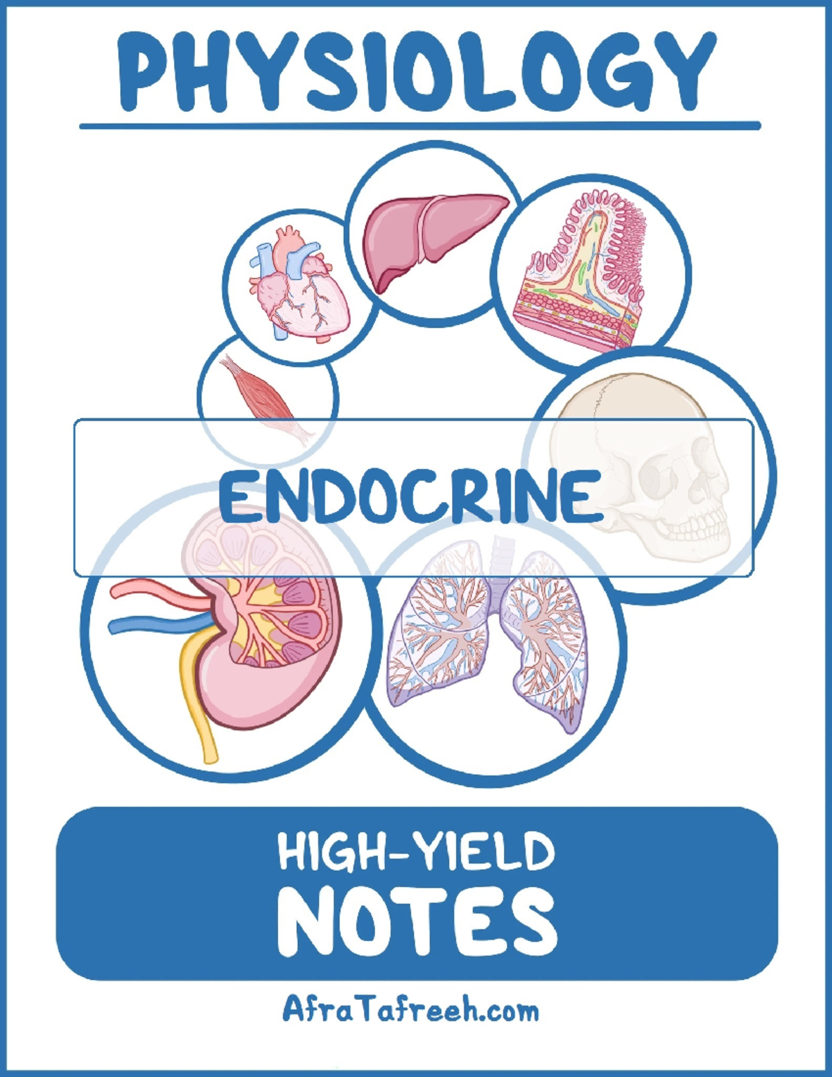 7 Endocrinology - ATF - PHYSIOLOGY Table of Contents Anatomy ...