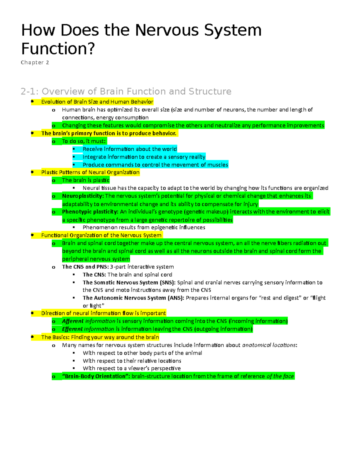 How Does the Nervous System Function - How Does the Nervous System ...