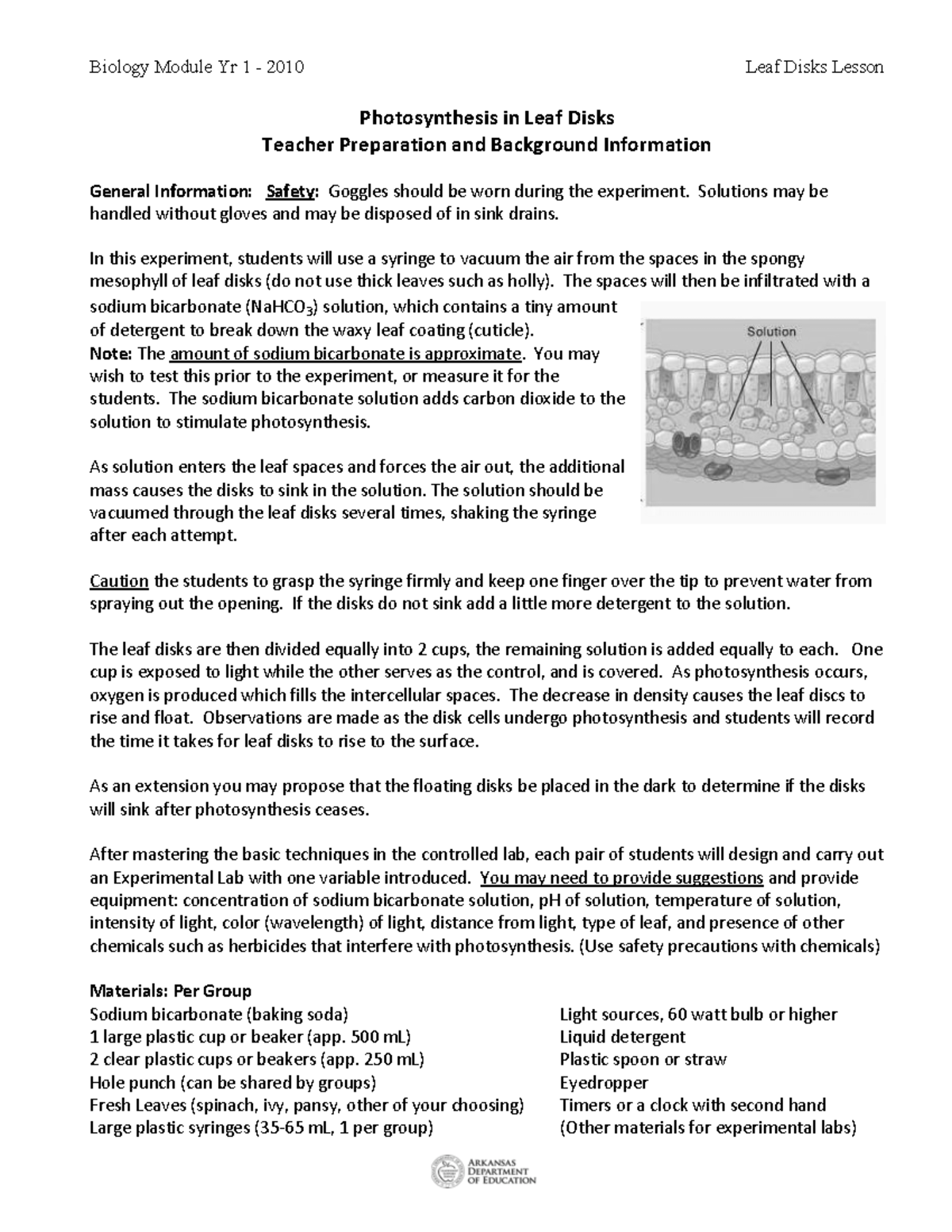 Photosynthesis in Leaf Disk Lab - Photosynthesis in Leaf Disks Teacher ...