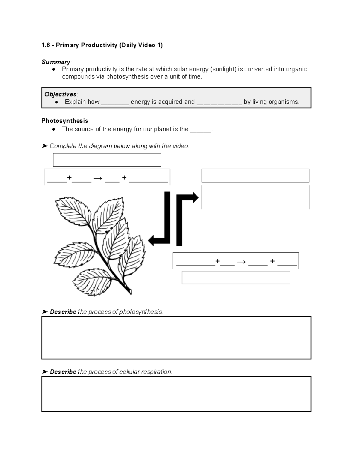 AP Daily Videos 1 - Practice AP vid doc - 1 - Primary Productivity ...