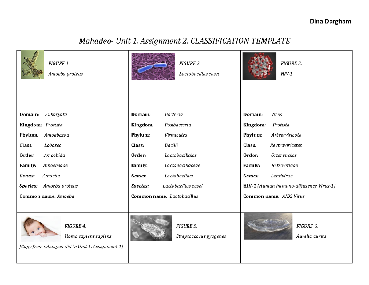 Discussion 3-1.2 Classification Template (2) (1) - Dina Dargham Mahadeo ...