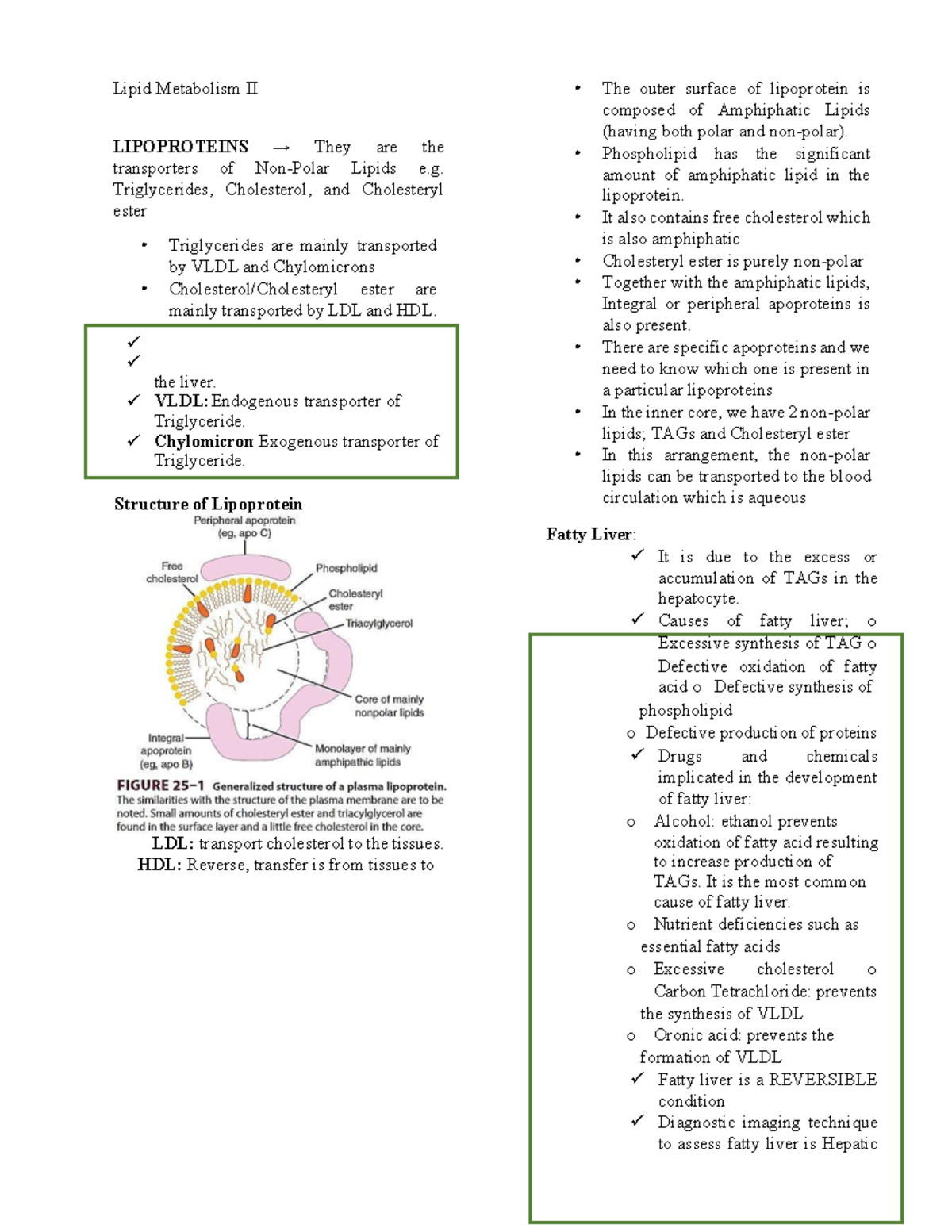 Biochemistry - Lipid 2 LECTURE NOTES (MED SCHOOL) - Lipid Metabolism II ...