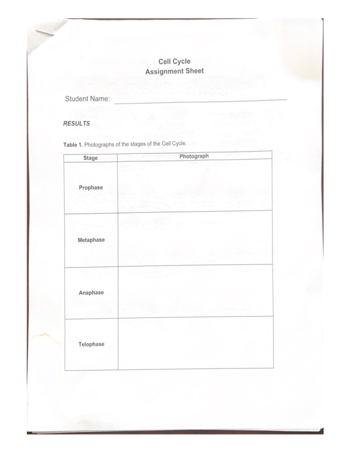 Cell Cycle - lab - BIO101 - Studocu