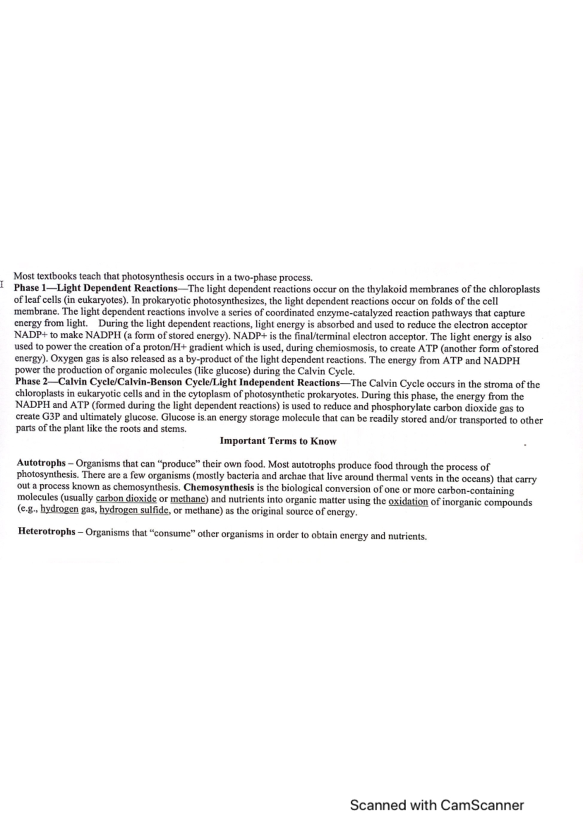 Photosynthesis - FGCU - BSC 1010C - Studocu