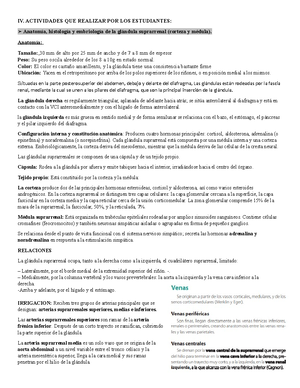 El Sistema Limbico centro de las emocion - ‘‘El Sistema Limbico centro ...