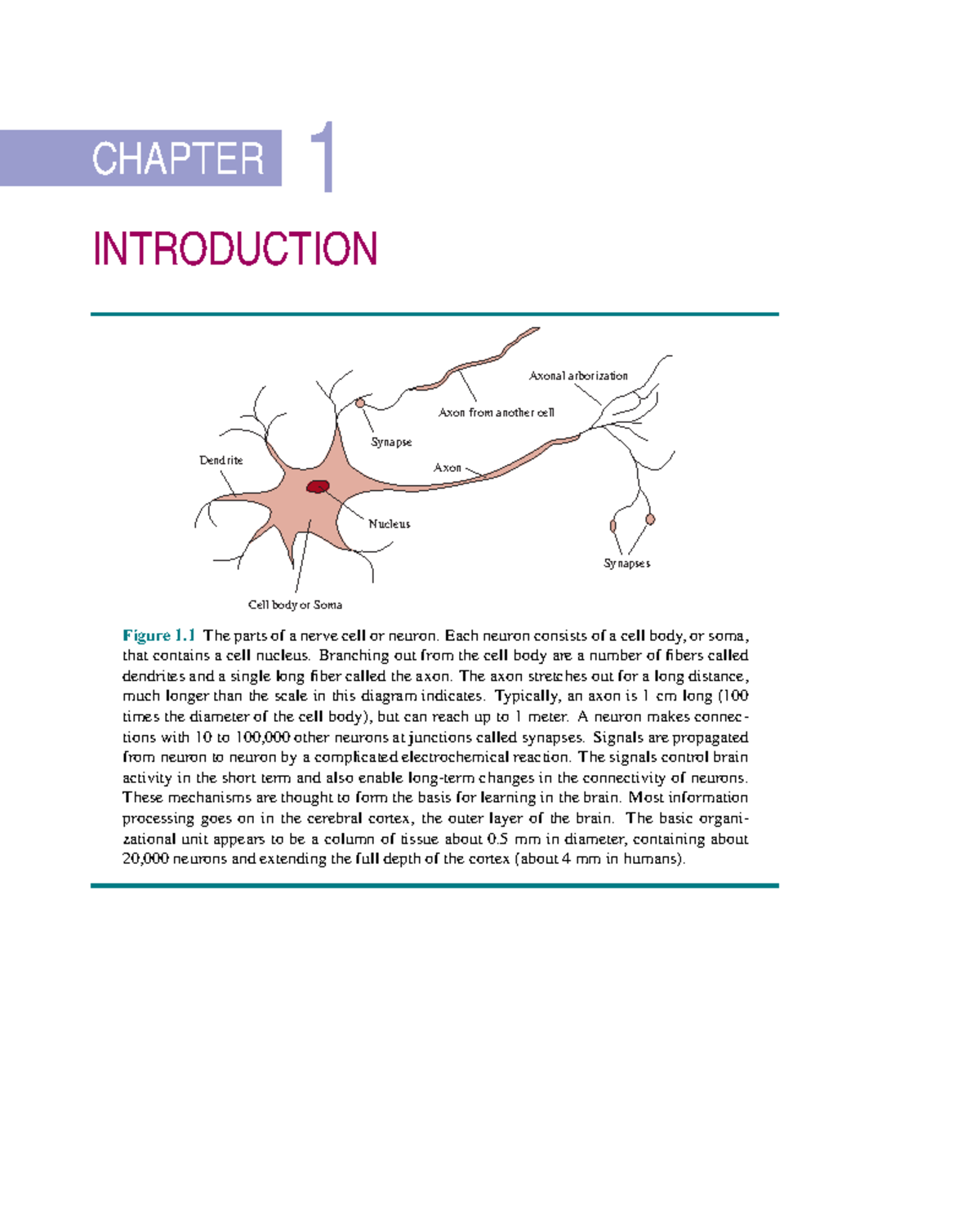 Figures - CHAPTER 1 INTRODUCTION Axon Cell body or Soma Nucleus Dendrite Synapses Axonal - Studocu