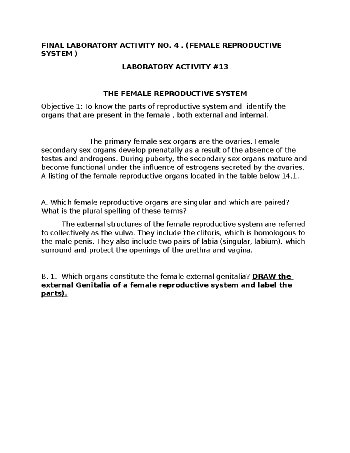 Female Reproductive System - FINAL LABORATORY ACTIVITY NO. 4. (FEMALE ...