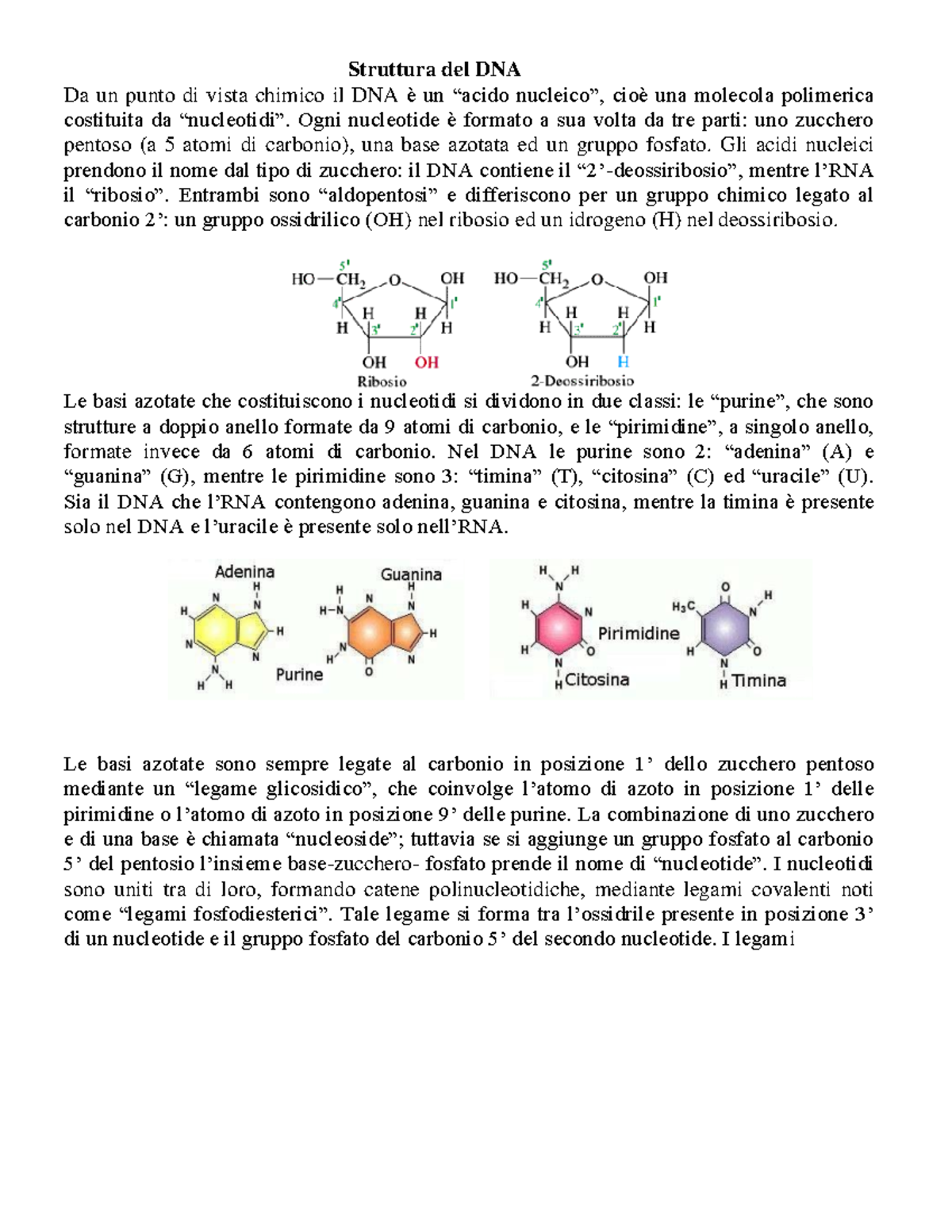 Pdf molecolare - ... - Struttura del DNA Da un punto di vista chimico il DNA è un “acido ...