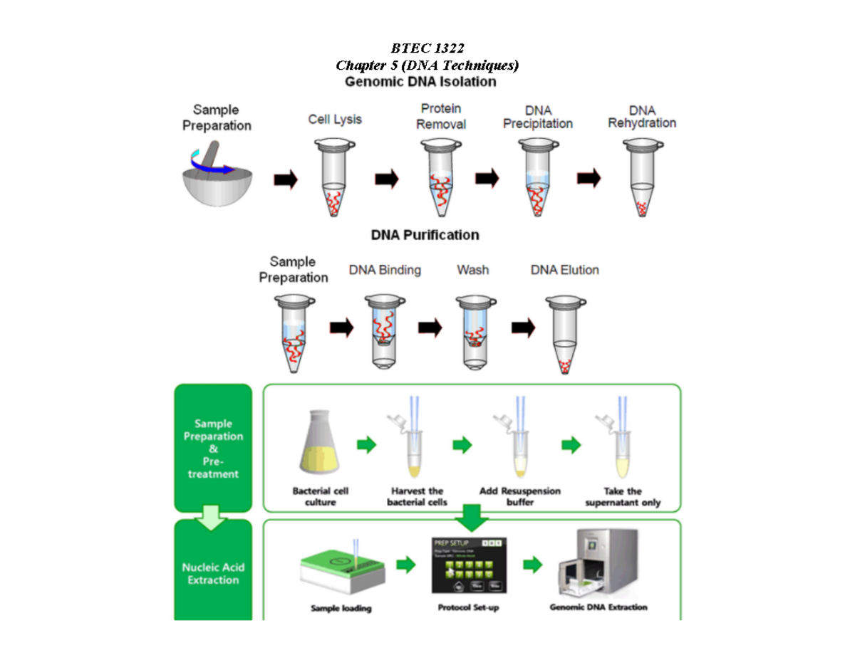 Chapter 5 (DNA Techniques) - BTEC 1322 Chapter 5 (DNA Techniques) How ...