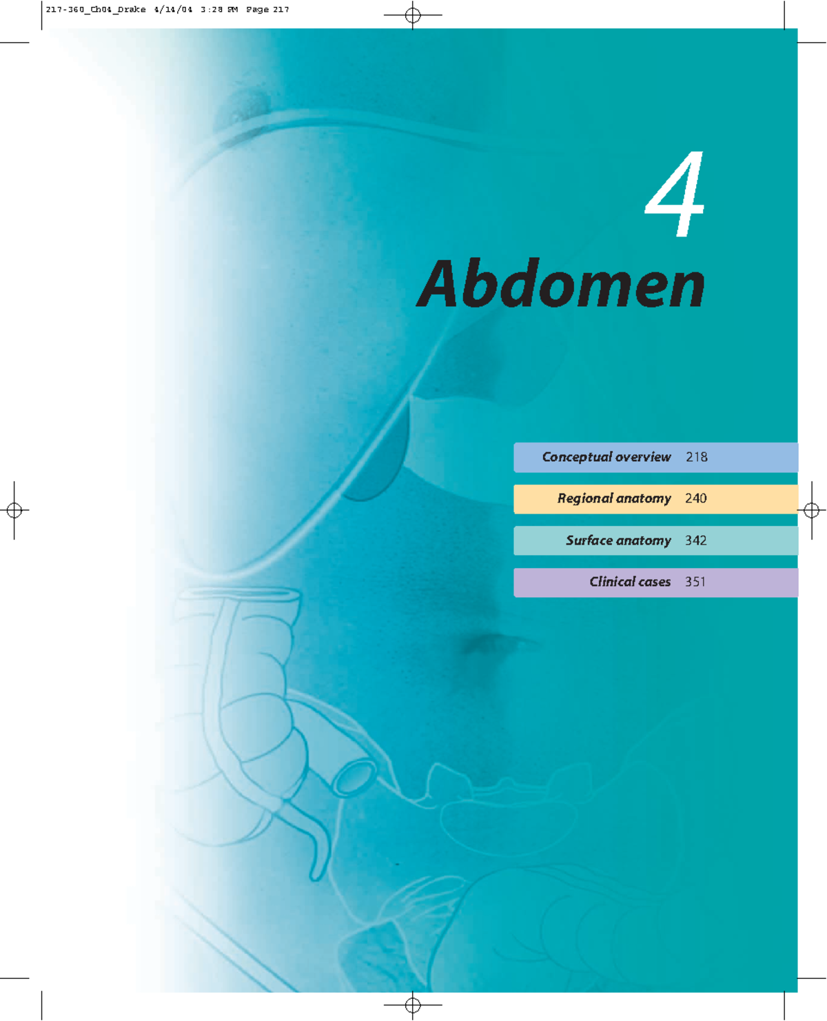 Human anatomy simplified notes - Abdomen - Conceptual overview Regional ...