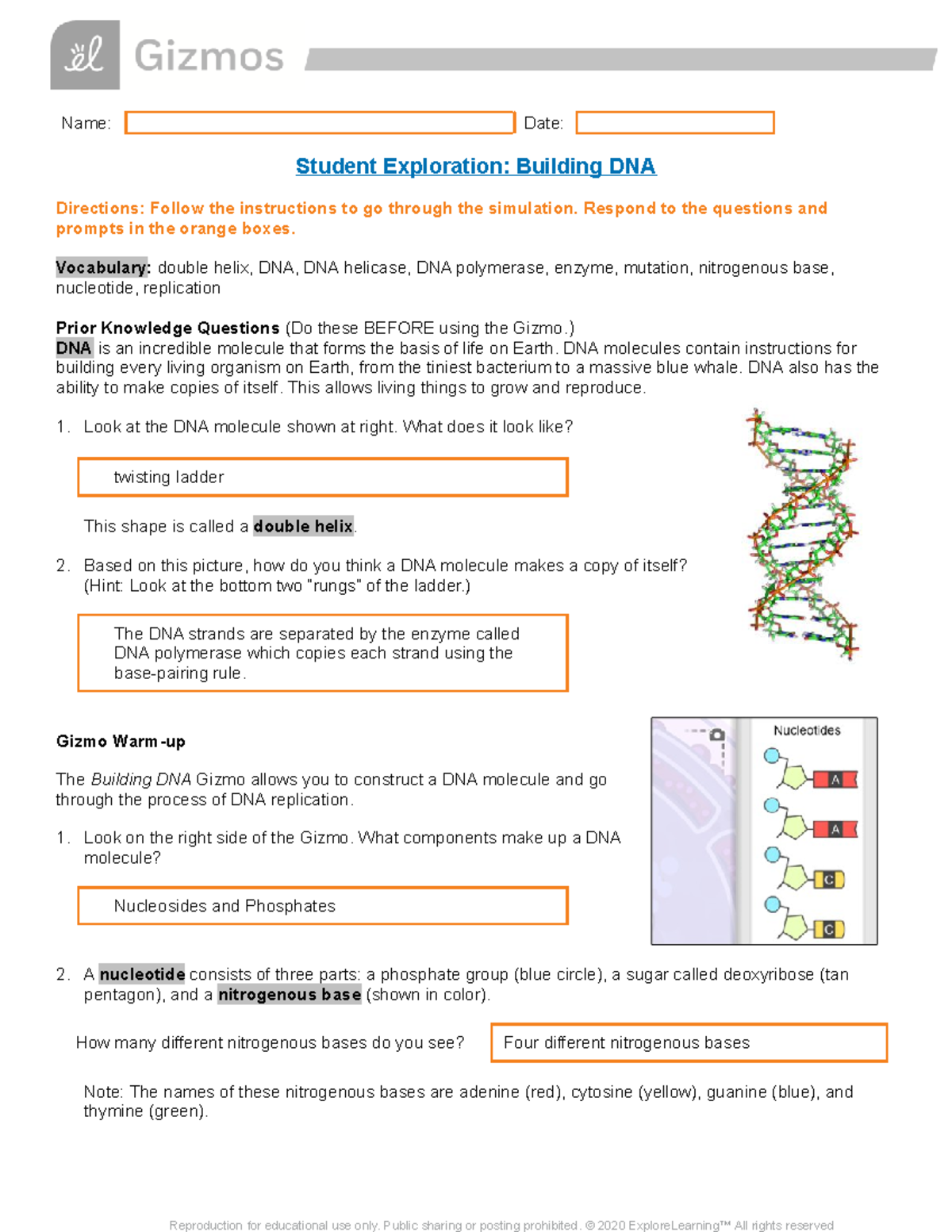 Student Exploration: Building DNA - Name: Date: Student Exploration ...