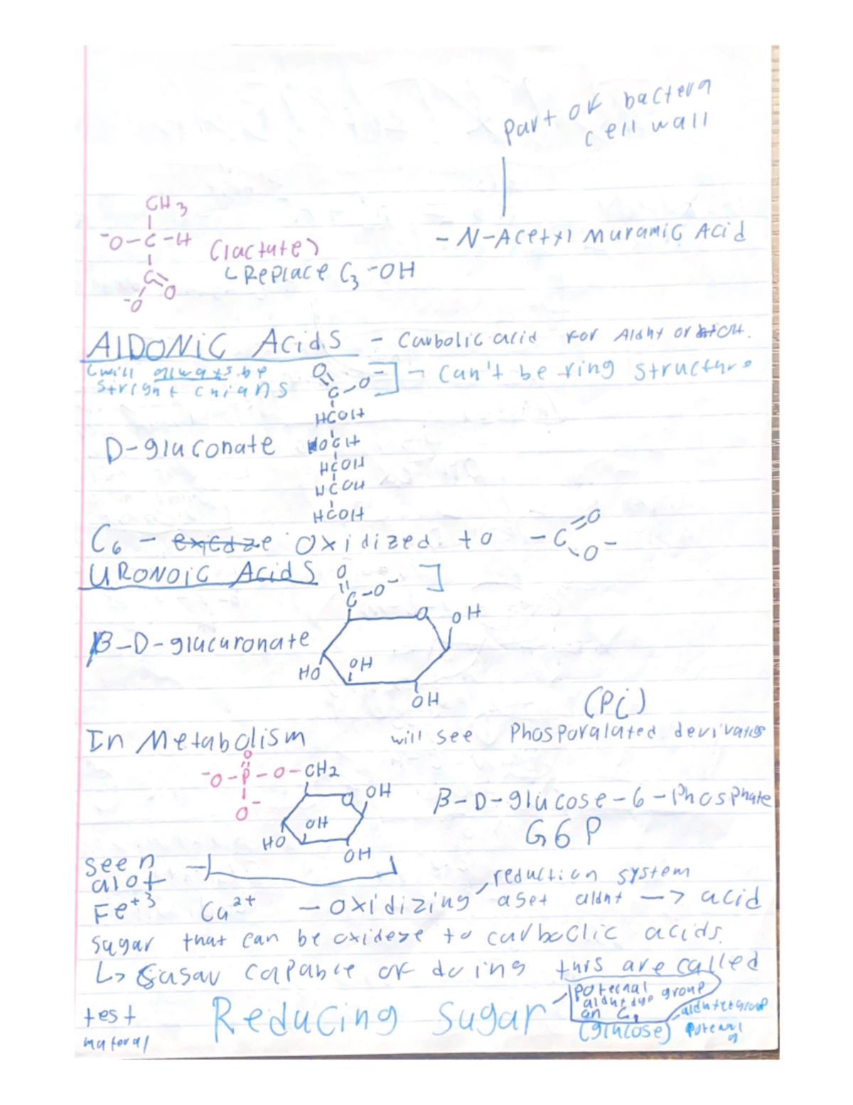 Biochemistry notes pages 30-40 - BIO 4010 - Studocu