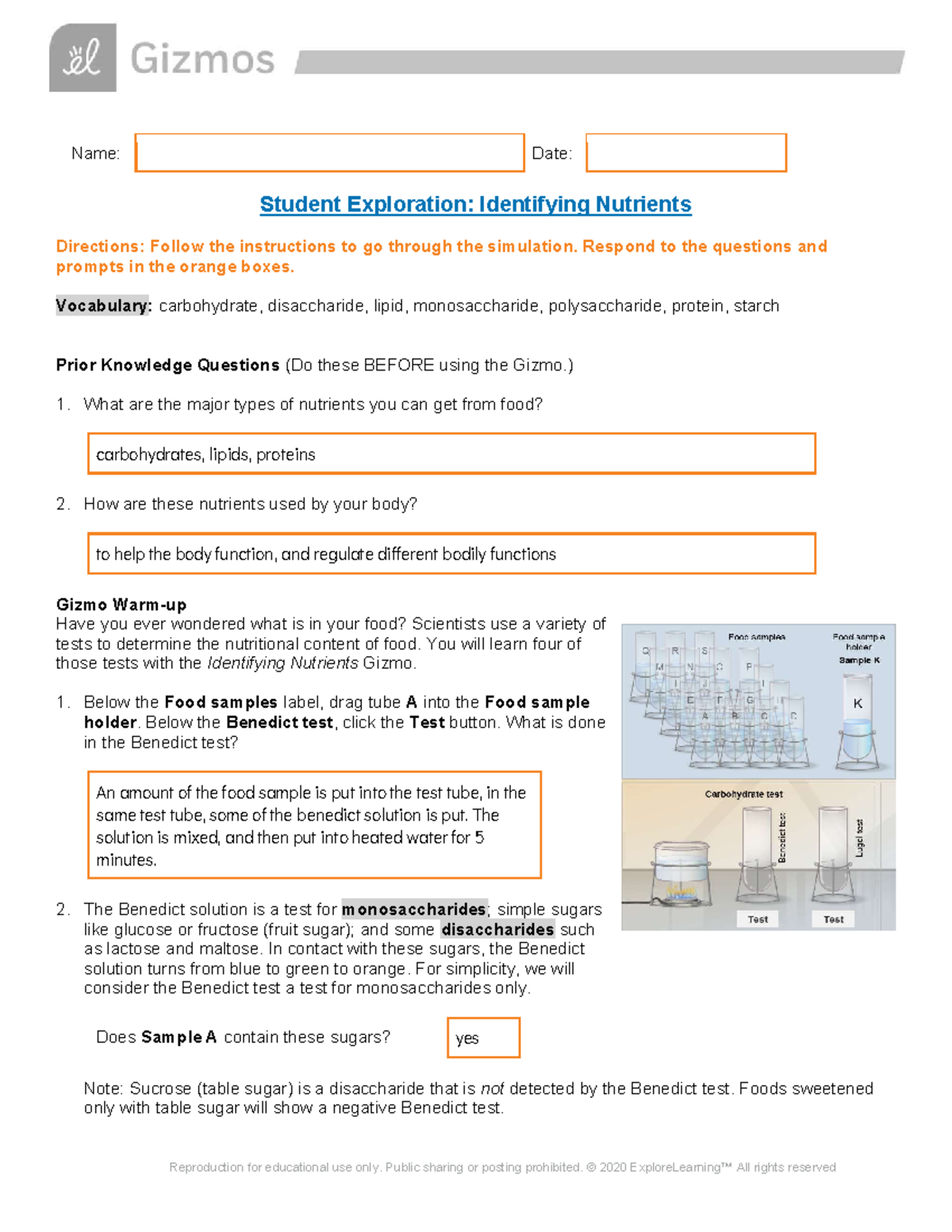 Identifying Nutrients Gizmo - Name: Date: Student Exploration ...