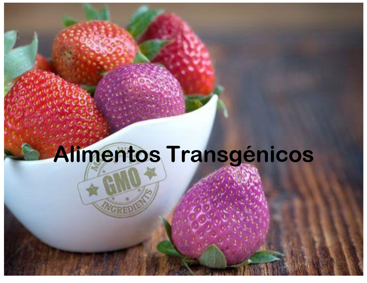 Alimentos Transgénicos - Alimentos TransgÈnicos Grupo II # 8 # 9 # 11 ...