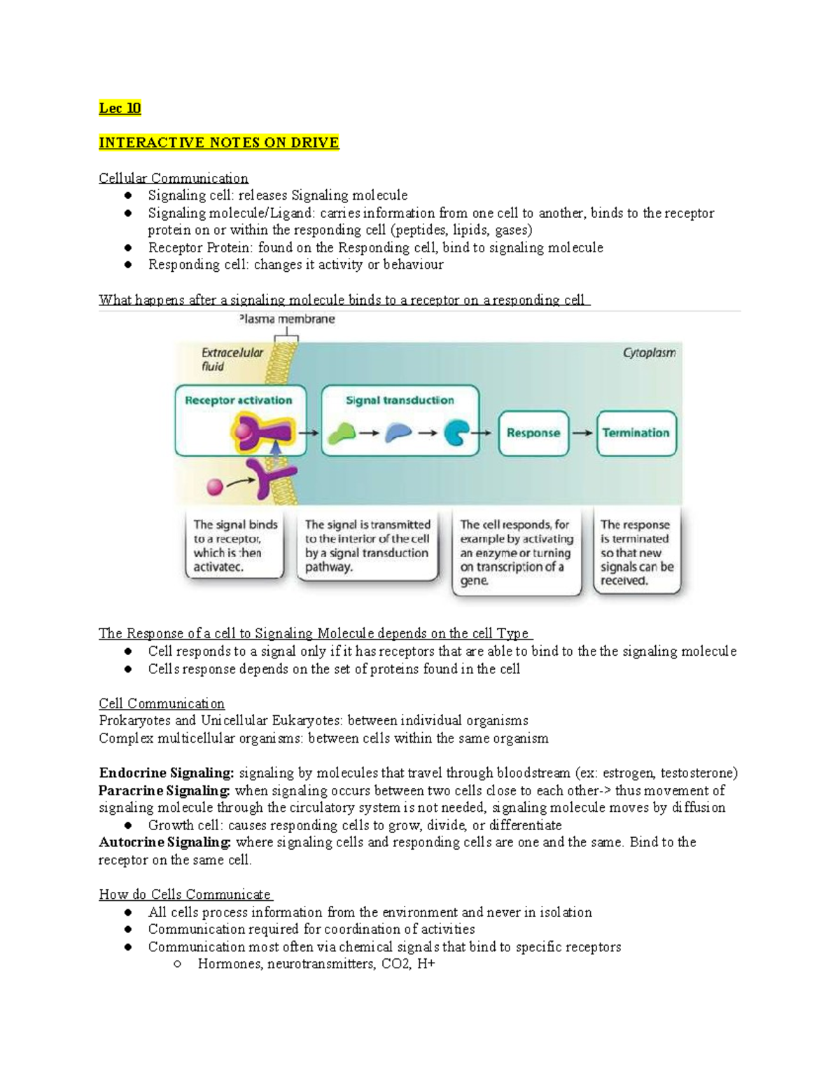 Part 2 BIOL 1010U Study Guide - Lec 10 INTERACTIVE NOTES ON DRIVE ...