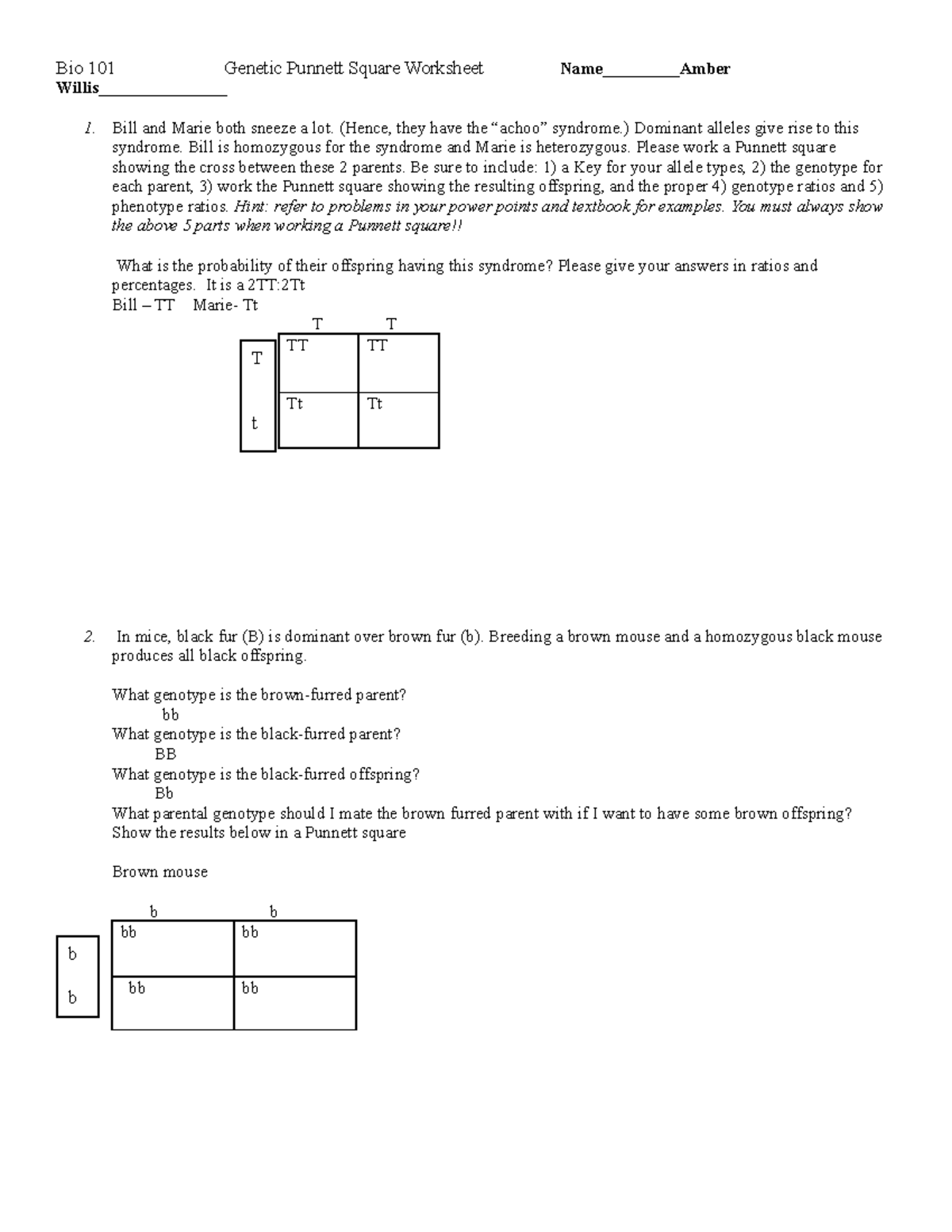 Bio 101 Genetic Punnett Square Worksheet - (Hence, they have the “achoo ...