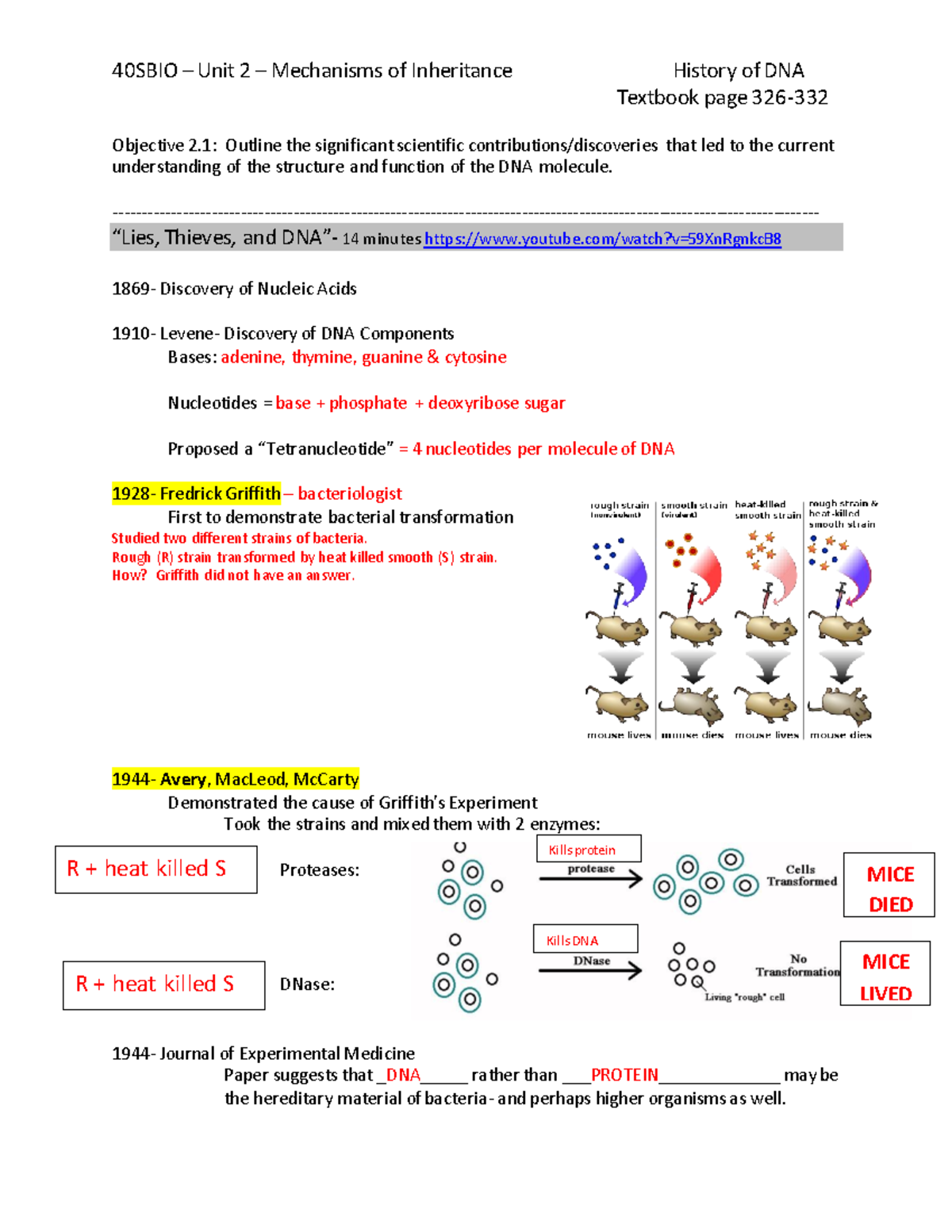 Genetic inheritance - 40SBIO – Unit 2 – Mechanisms of Inheritance ...