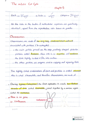 [Template] Required practical Example Write Up for CPAC 4 and 5 - Title ...