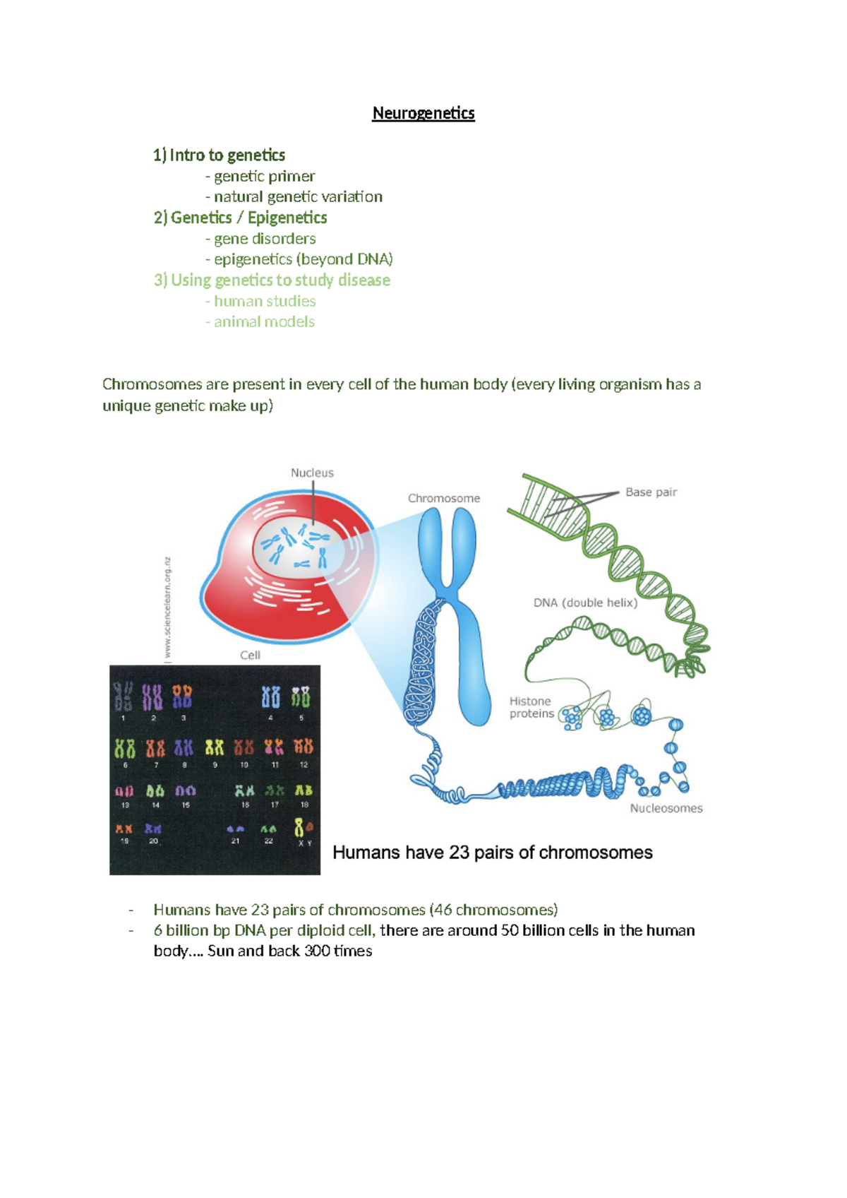 Lec 3 - Neurogenetics - Neurogenetics 1) Intro to genetics - genetic primer - natural genetic ...