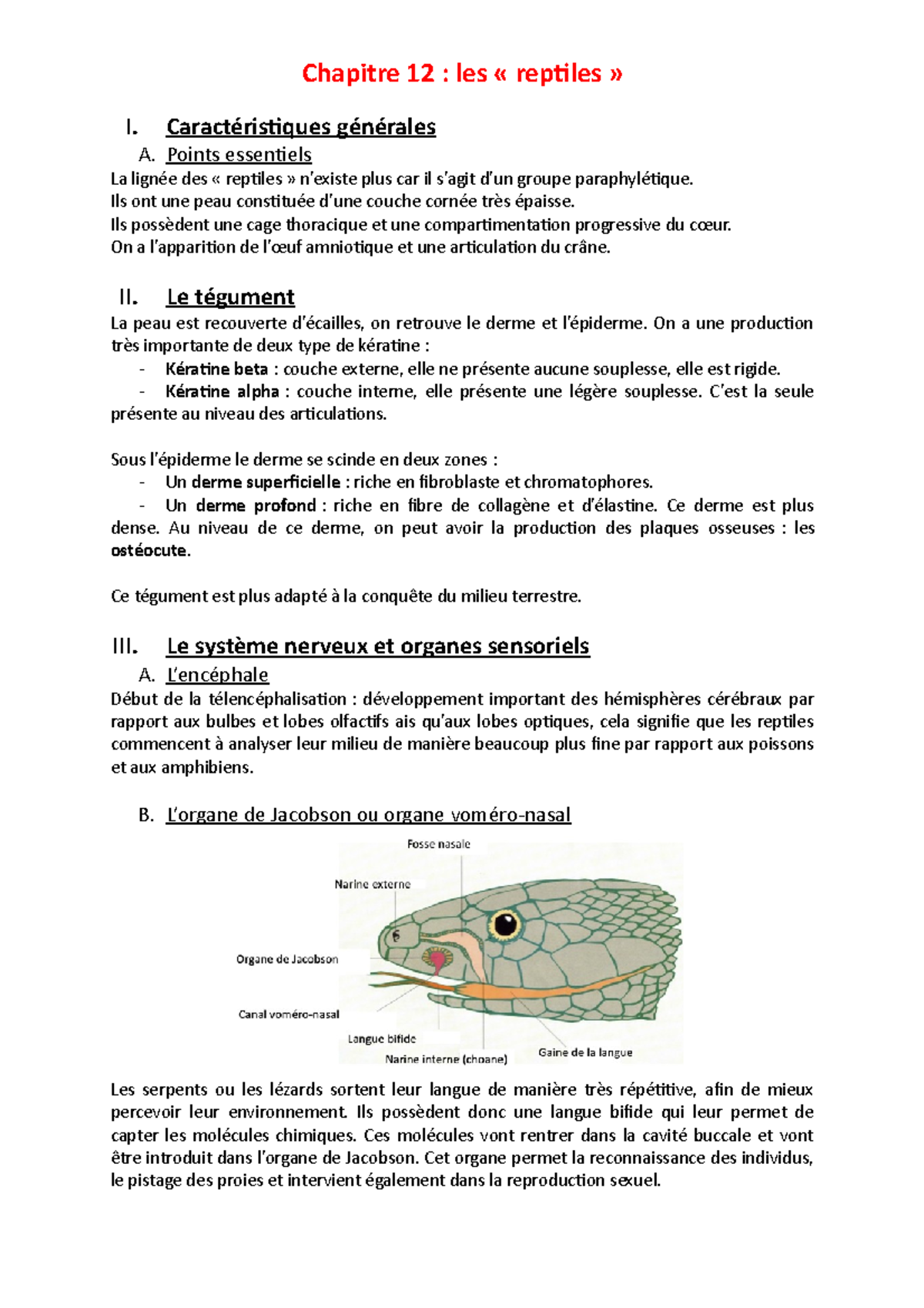 Chapitre 12 - Chapitre 12 : les « reptiles » I. Caractéristiques ...