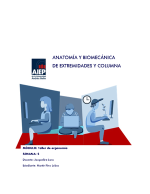 Plantilla actividad estudiantes - EVALUACION ERGONOMICA Modulo: Taller ...