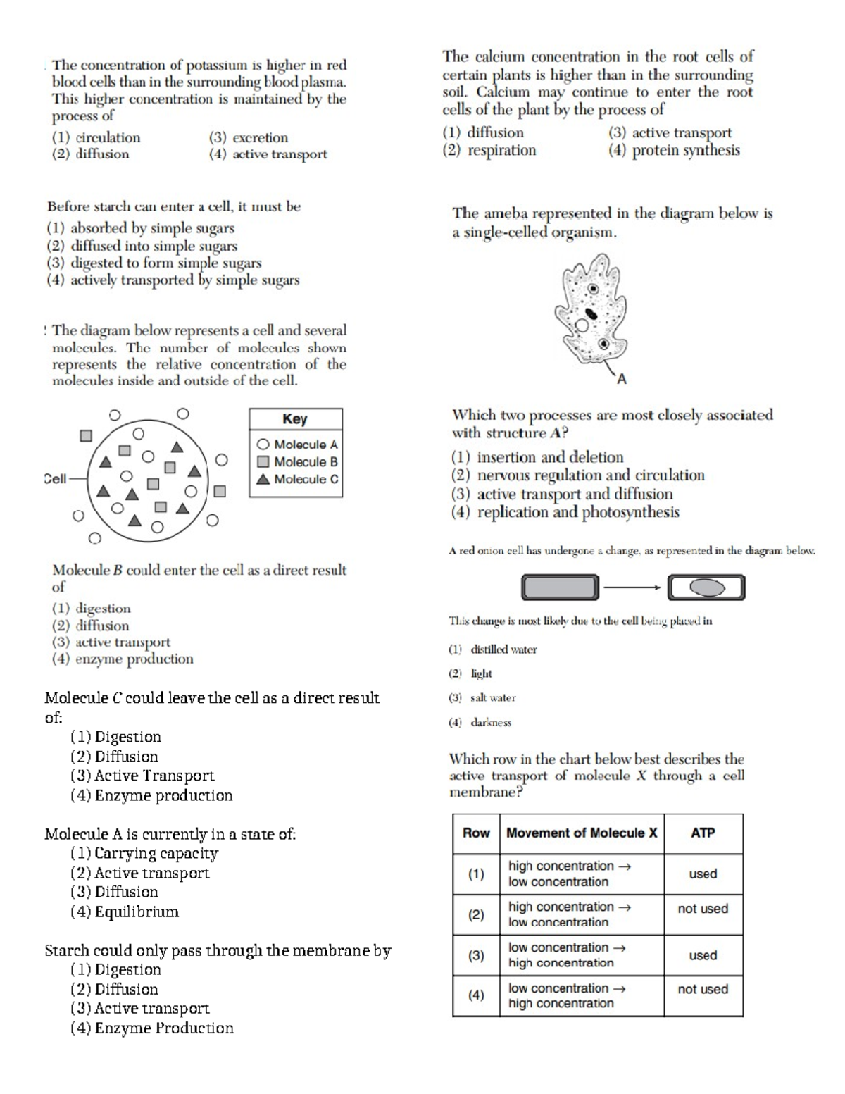 15 - Cell Transport Regents Practice Questions - Molecule C could leave ...