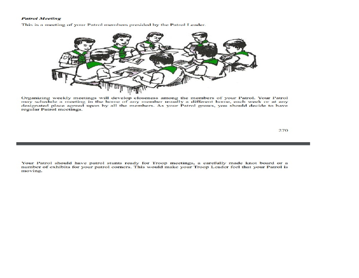 Ideals of scout - BSED Science - Studocu