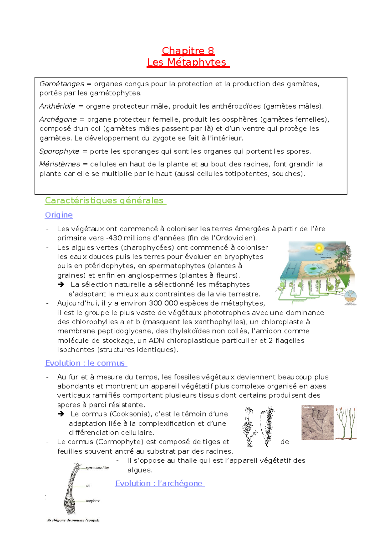 Chapitre 8 - Chapitre 8 Les Métaphytes Caractéristiques générales ...