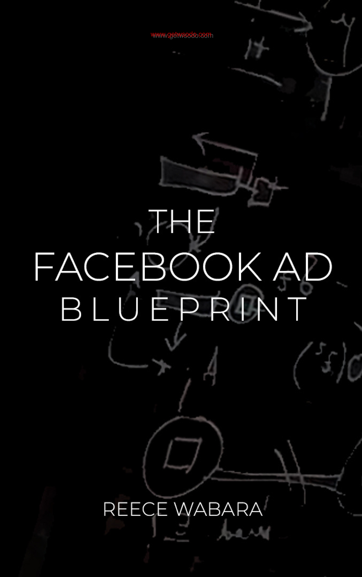THE Facebook AD Blueprint - getwsodo.comwww.getwsodo TABLE OF CONTENTS ...