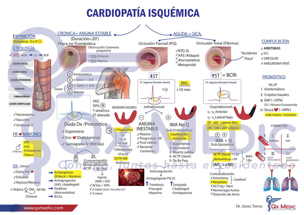 ciencias sociales, definicion , caracteristicas influencia - ST ...