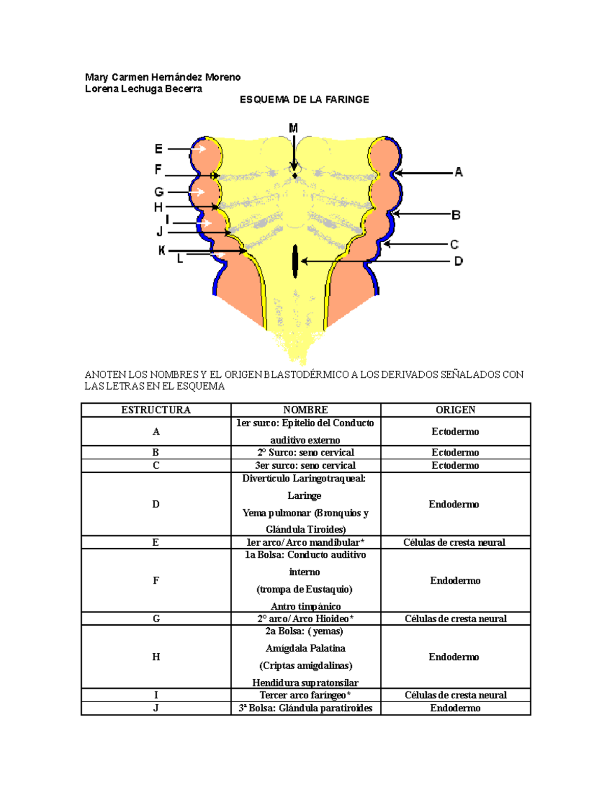 Tarea f Aringe 2 - Mary Carmen Hernández Moreno Lorena Lechuga Becerra ...
