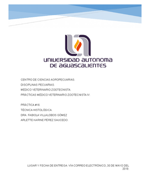 2°Trimestre 3 Mundo ABC - Cuaderno de trabajo Segundo grado Mundo ABC ...